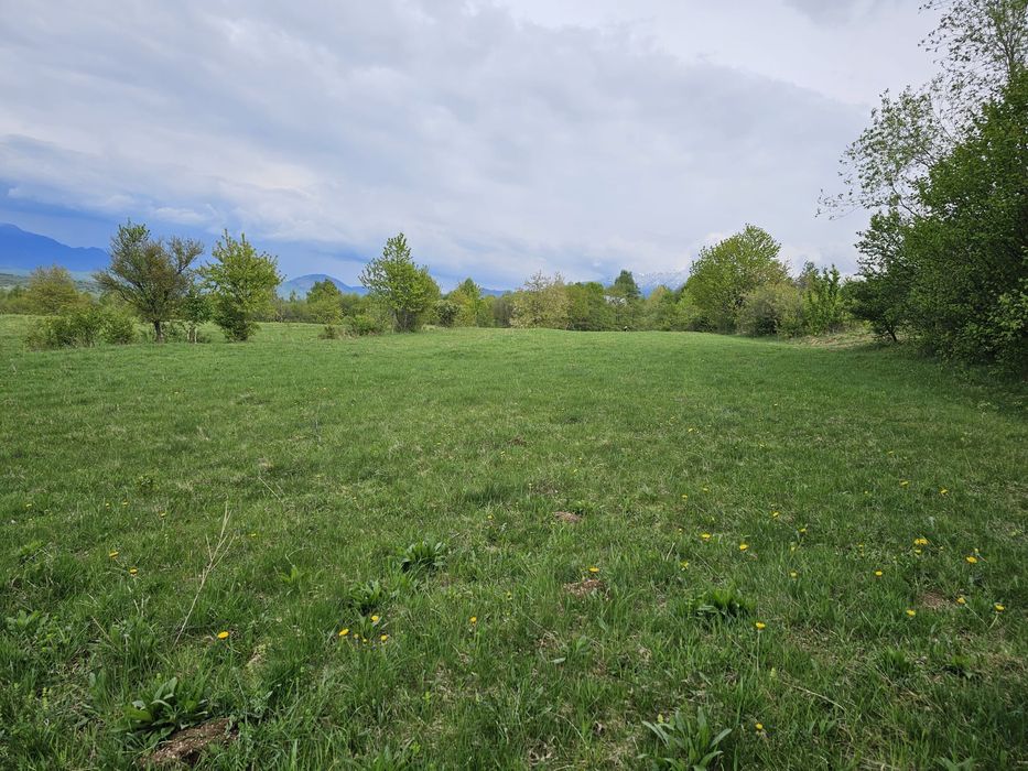 Teren de vânzare Tohanita, Zarnesti Bran • OLX.ro