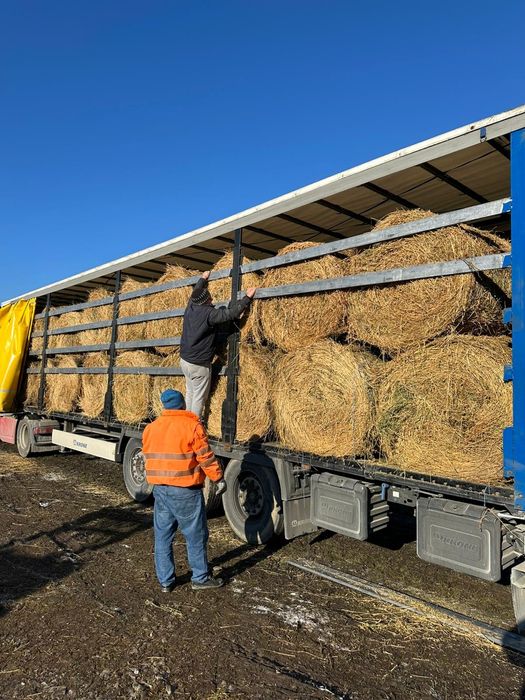 Livrare RO.Baloti Lucerna sau Fan..Dreptunghiulari sau rotunzi Cristian ...
