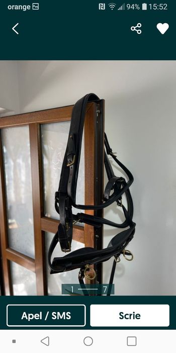 Ham trasura ponei si cai mici Bistrita • OLX.ro