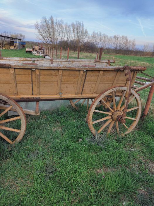 Carute vechi cu roti de lemn Sannicolau Mare • OLX.ro