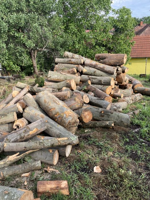 Vindem lemne de foc esențe tarii[FAG,GORUN,CARPEN,CER] Salonta • OLX.ro