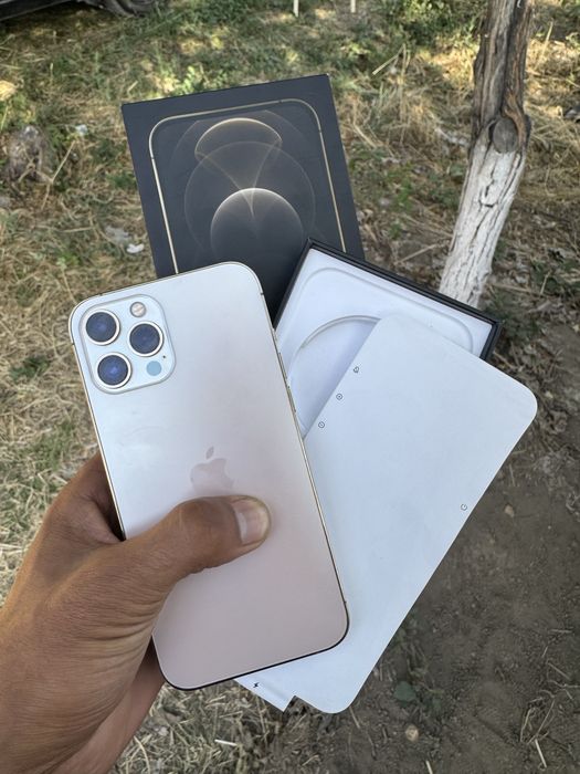 Iphone 12 pro max sim +esim 128/71 radnoy: 3 650 000 сум - Мобильные ...