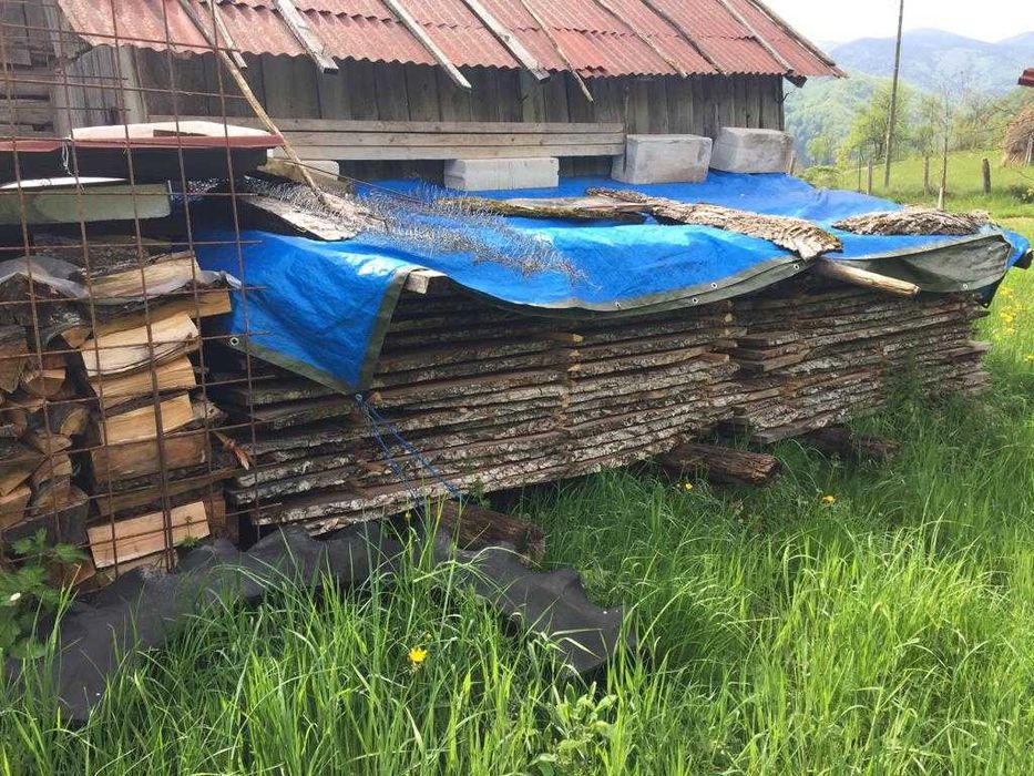 Cherestea din lemn de nuc Valea Draganului • OLX.ro