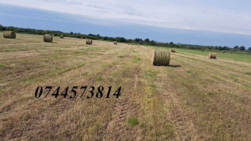 LIvram la comanda/Baloti Fan/Lucerna.Drepunghiulari sau rotunzi Poieni ...