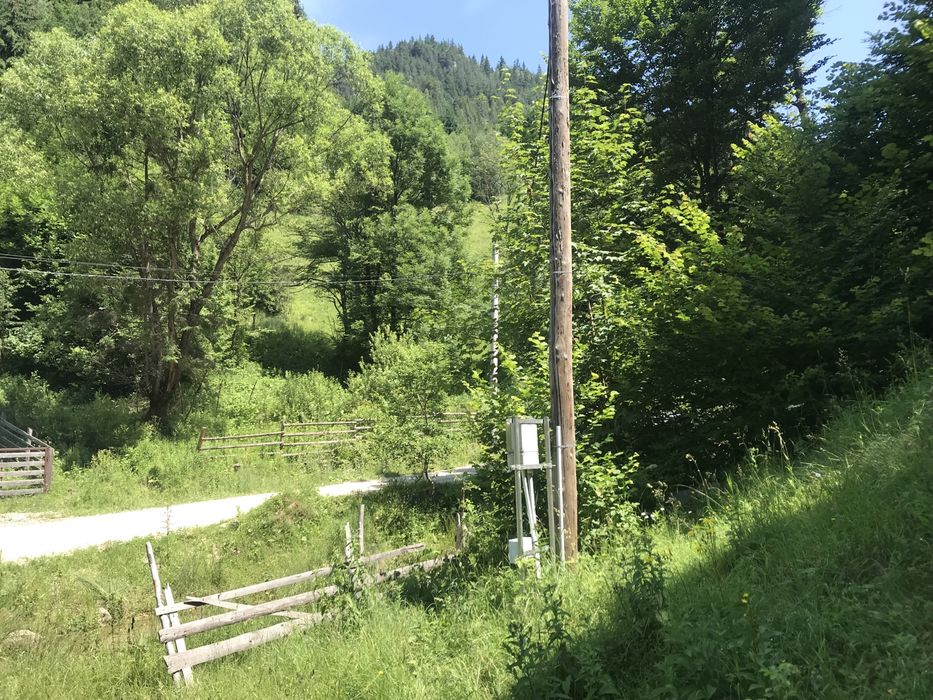 Teren Rucar Bran Valea Cheii Rucar • OLX.ro