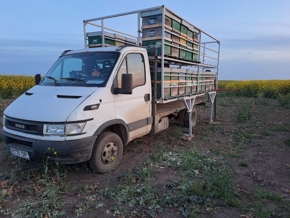 Modul apicol de vanzare Aranghel • OLX.ro