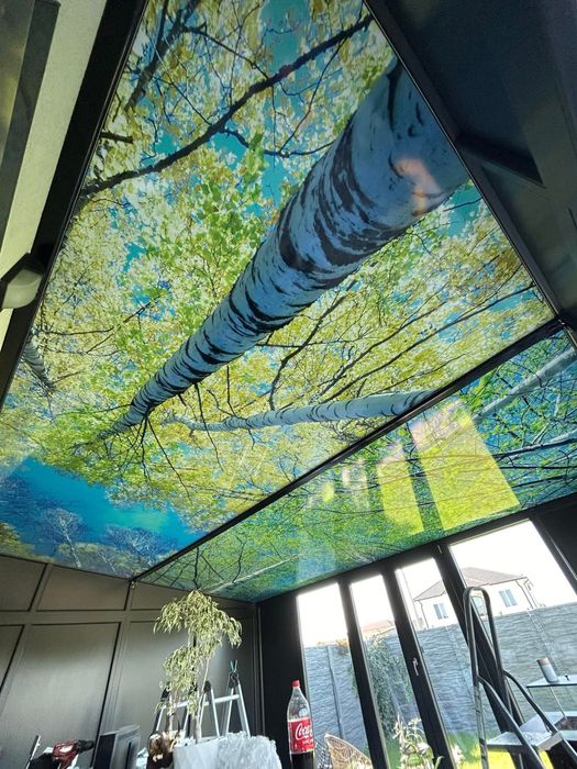 Tavane Extensibile Timisoara • OLX.ro