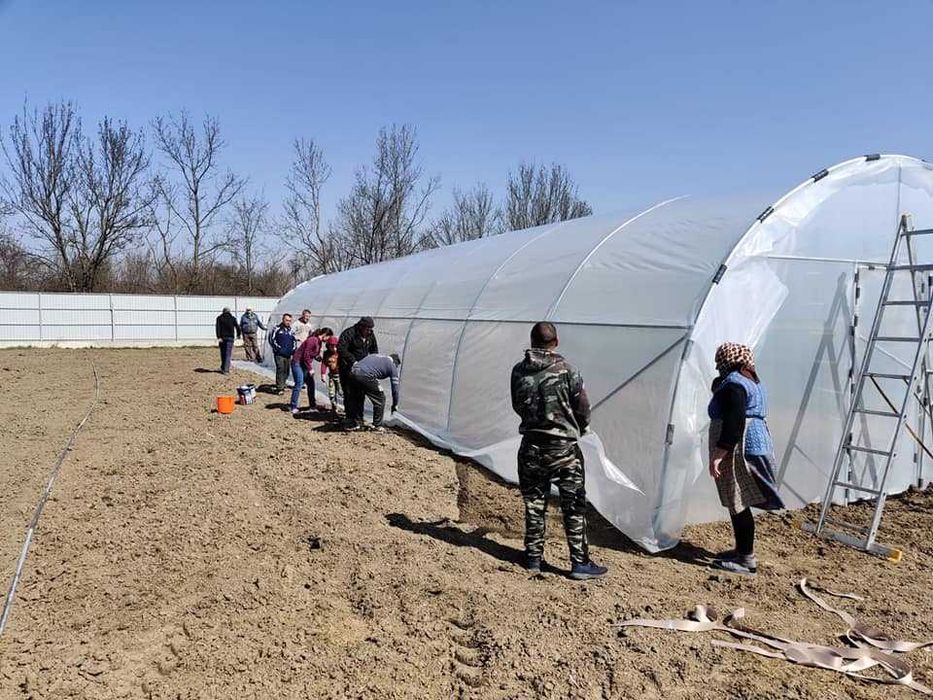 Solar legume profesional, complet echipat. Sera gradina. Alexandria ...