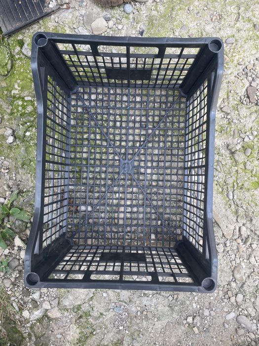 Vand ladite fructe/legume Vernesti • OLX.ro