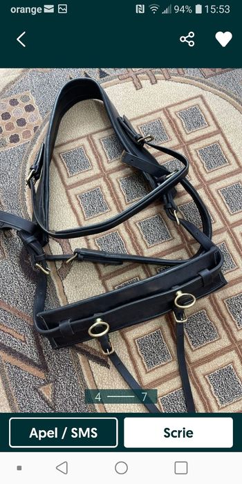 Ham trasura ponei si cai mici Bistrita • OLX.ro