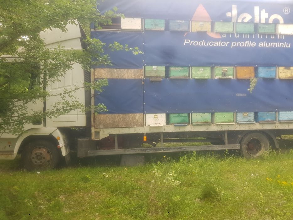 Stupină de vanzare Lalosu • OLX.ro