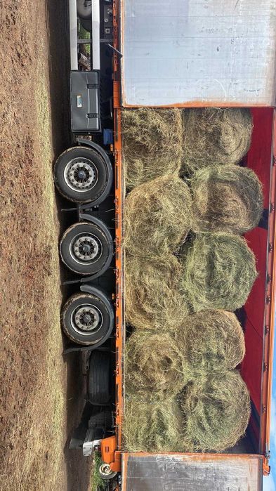 Livram in toata tara,transport inclus.Baloti lucerna/fan Cluj-Napoca ...