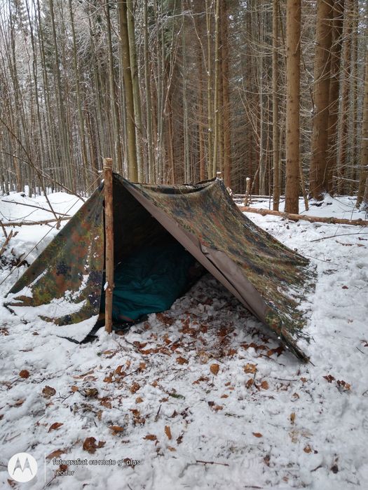 Cort militar German Campina • OLX.ro