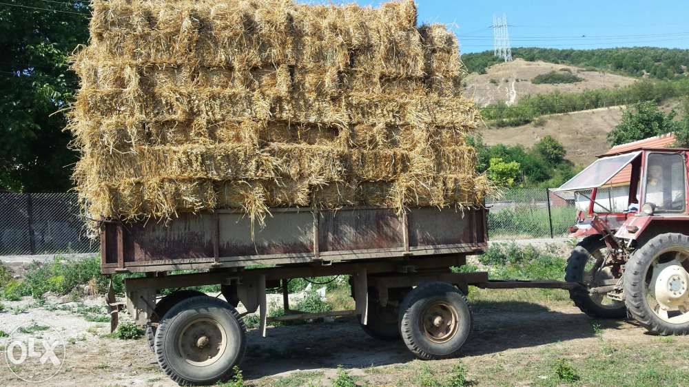 Baloti lucerna 2024 Chimindia • OLX.ro