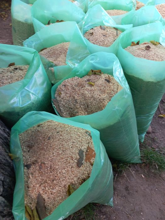 Rumegus de fag la sac Marasesti • OLX.ro