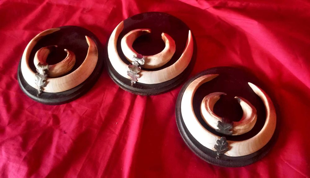 Trofeu/trofee/colti de mistret set frumos S4.1 Oradea • OLX.ro