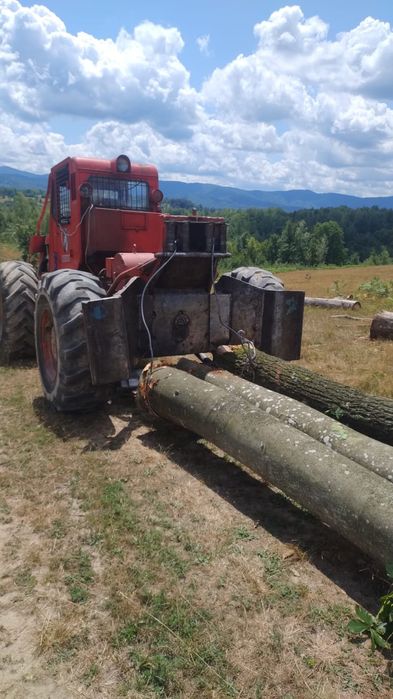 Vand taf forestier Branesti • OLX.ro