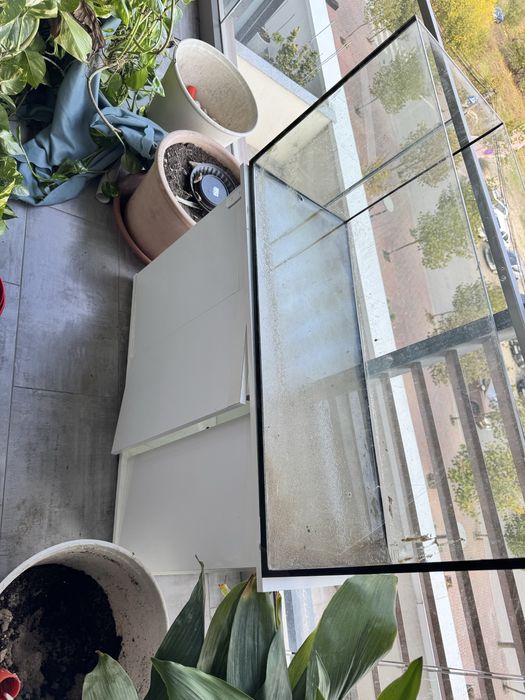 Vand acvariu marina 200 l cu stand juwel Catelu • OLX.ro