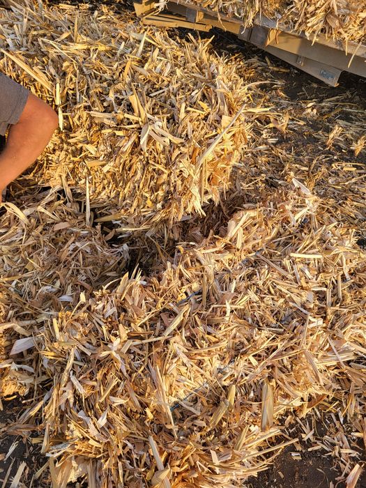 Baloti coceni porumb Puiestii de Jos • OLX.ro