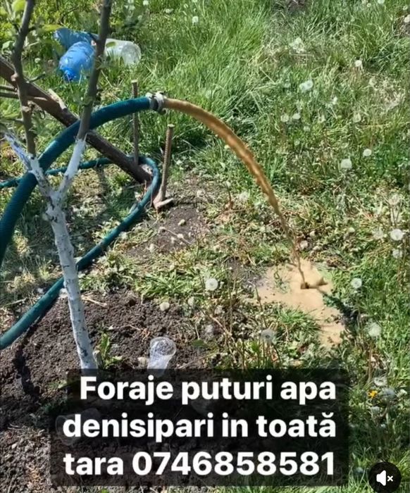 Foraje puturi denisipari Hunedoara • OLX.ro