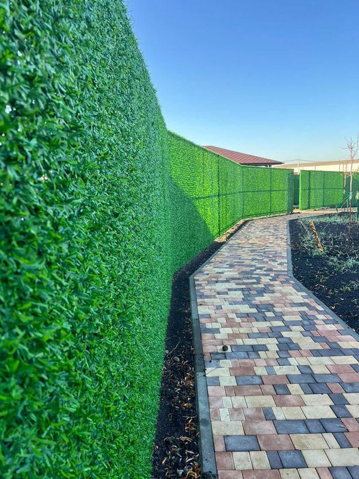 Imitatie gard viu artificial, 1x10m 1,5x10m 1,7x10m 2x10m Iasi • OLX.ro