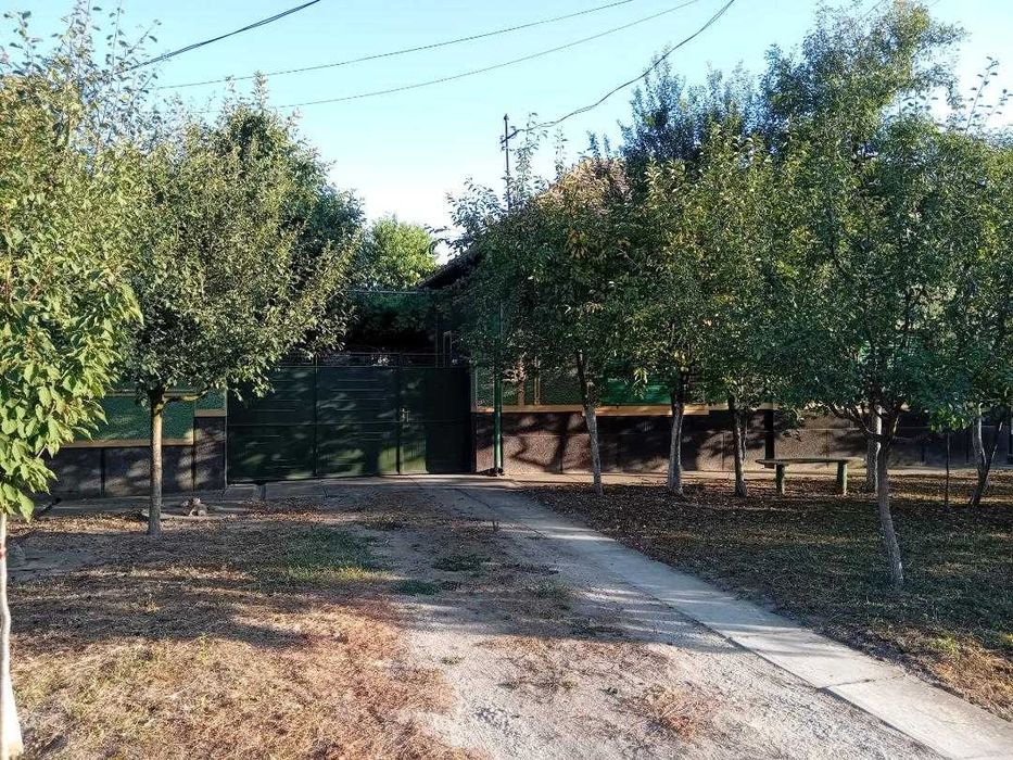Casa de vanzare cu anexe si gradina in orasul Nadlac Nadlac • OLX.ro