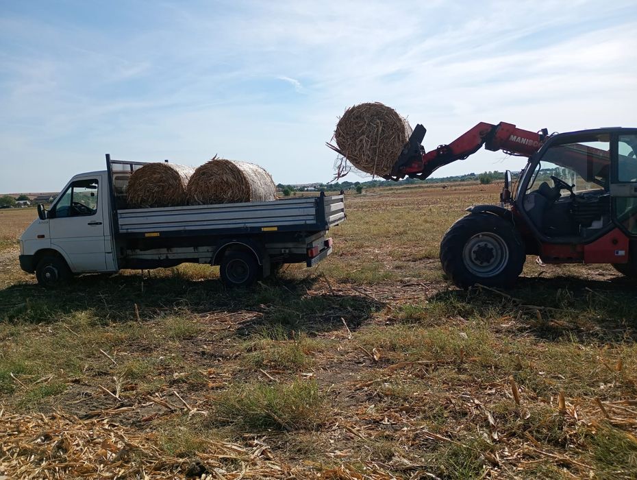 Vând baloti coceni Garlesti • OLX.ro