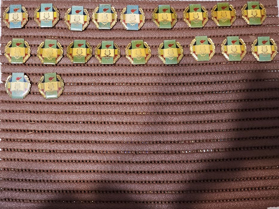 Insigne comuniste - Fruntași, Pionieri, Industrie, UTC, CTA Brasov • OLX.ro