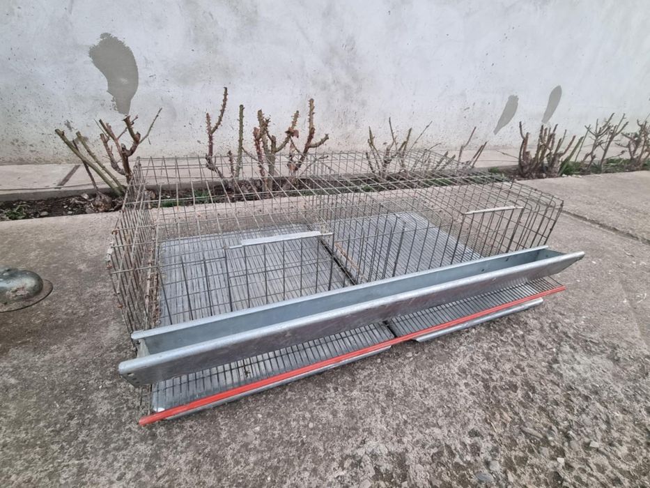 Cusca prepelite cu 2 compartimente Ghighiu • OLX.ro