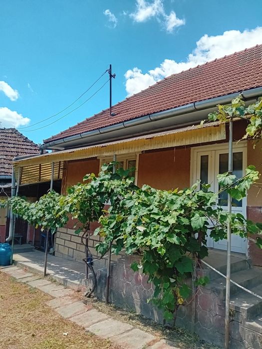 Vând casă la țară Benesat • OLX.ro