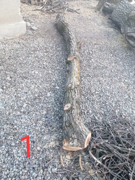 Lemn de Nuc - lemn calitatea 1 Reghin • OLX.ro