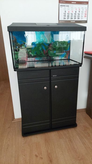 Vand acvariu Aquael Leddy 60 Day&Night + dulap Boyu Dumbravita • OLX.ro