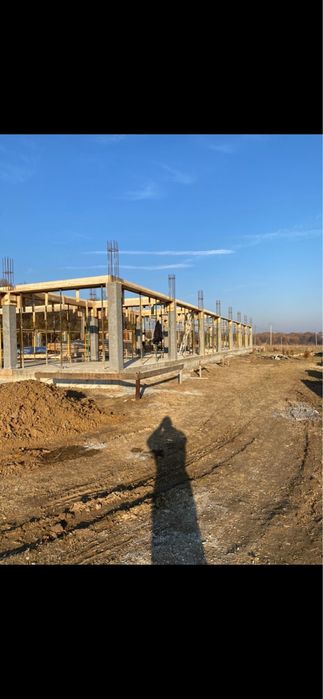 Panouri din OSB tip doka Picior de Munte • OLX.ro