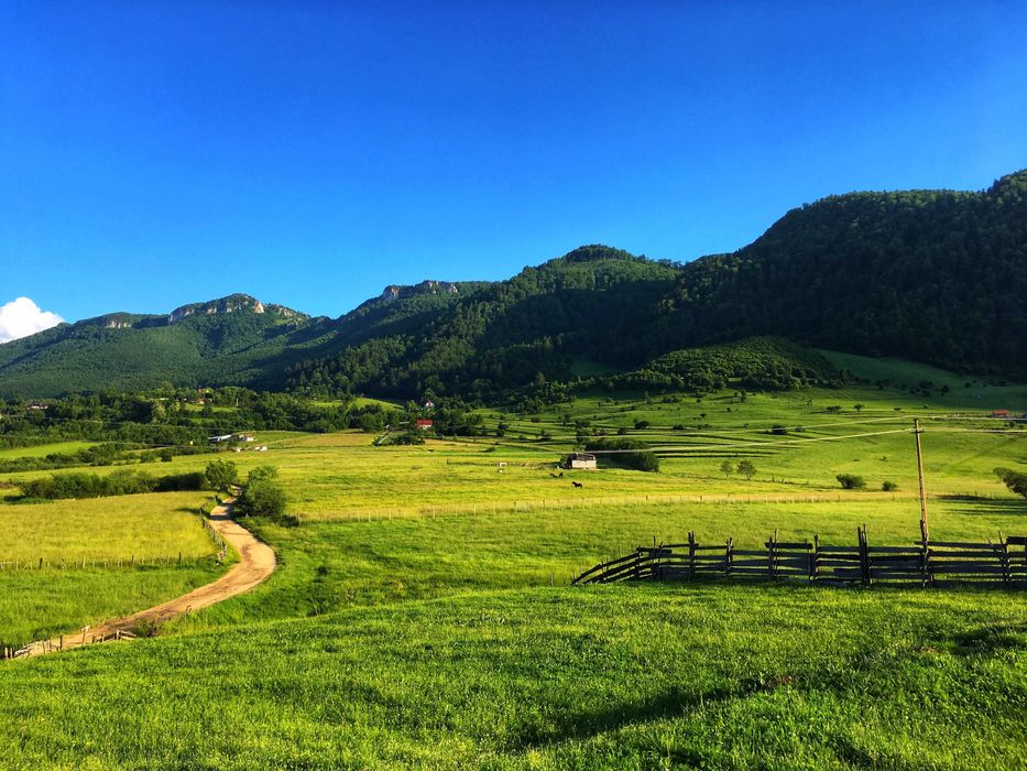 Închiriez cabana la munte Zarnesti zona Bran-Tohanita Zarnesti • OLX.ro