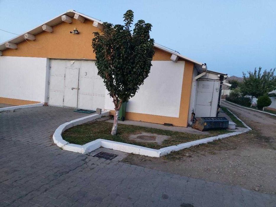 Ferma pui de carne si abator pasari Macin • OLX.ro