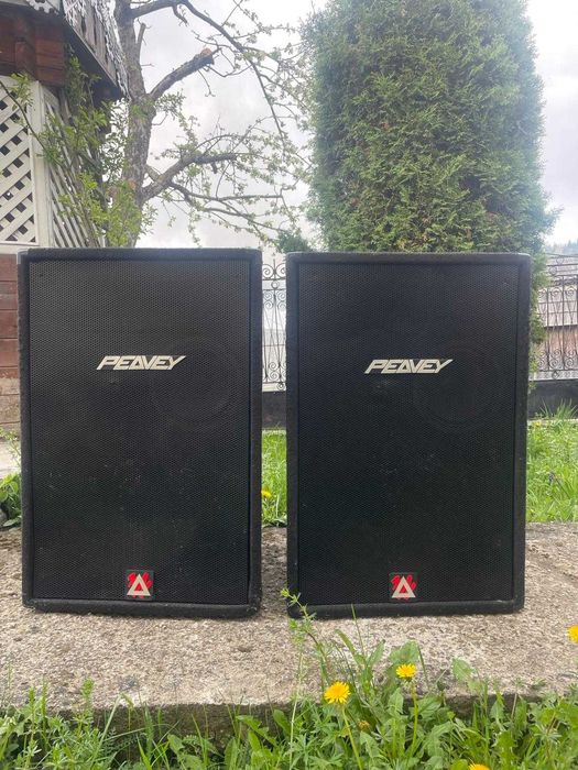 Vand boxe Peavey Floresti • OLX.ro