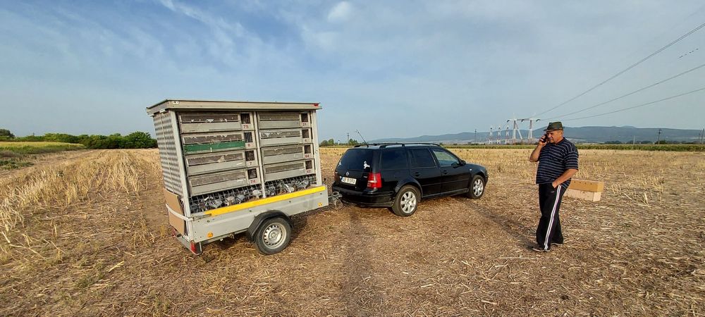 Vând remorca+container transport porumbei Cugir • OLX.ro