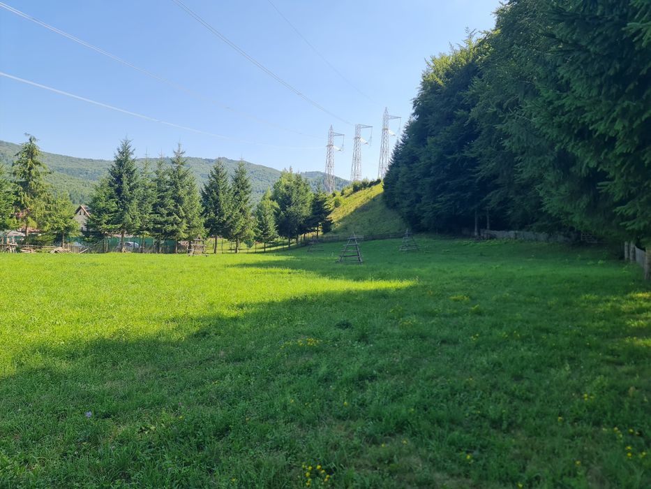 Teren Intravilan Valea Doftanei (valea neagra) Campina • OLX.ro