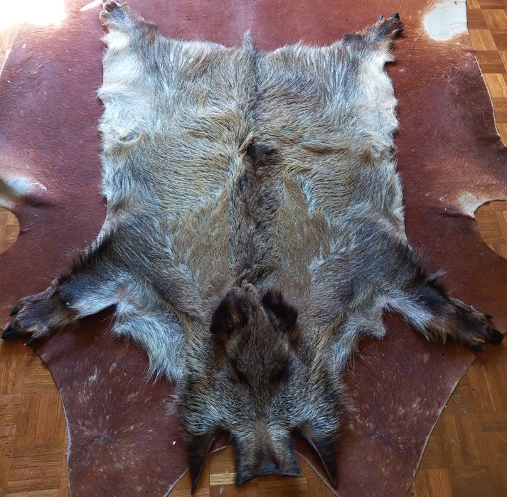 Trofeu/trofee/blana/covor/piele de mistret frunos argintiu Oradea • OLX.ro