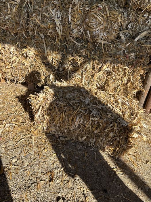 Baloti dreptunghiulari coceni Persinari • OLX.ro