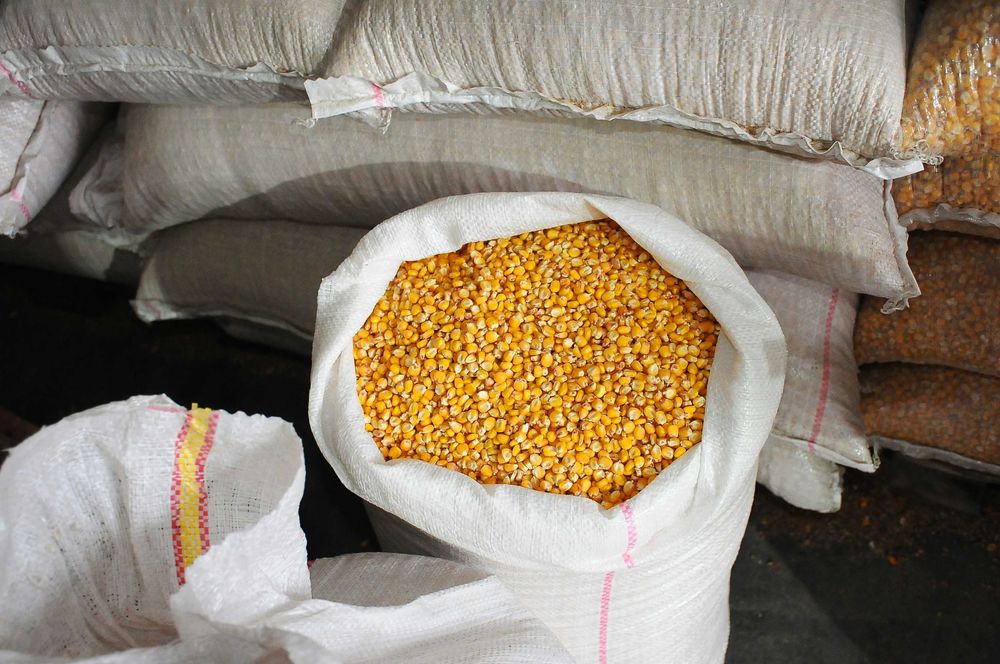 Porumb boabe uscat Tarate grau Mazare Floare Orzoaica Amestec Cereale ...