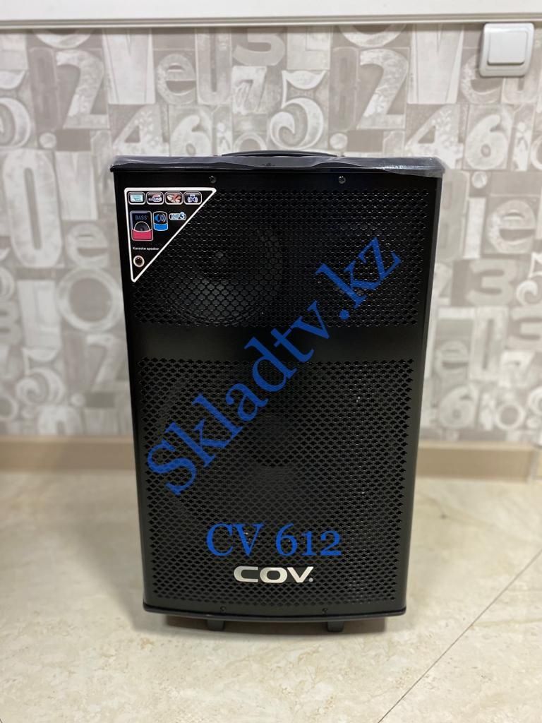 Акустическая портативная Bluetooth USB KARAOKE AUX колонка COV 612 ...