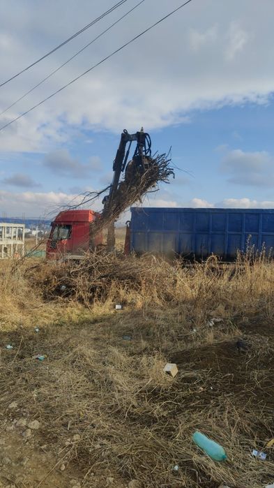 Debarasari Evacuări resturi vegetale cu macara,35mc,moluz,pământ,8x4 ...