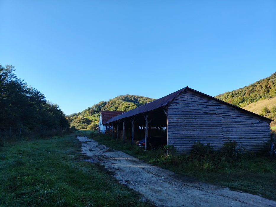 Ferma zootehnica Motiș jud Sibiu Motis • OLX.ro