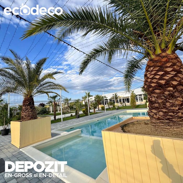 Amenajăm spații verzi cu gazon rulou natural. Valea Mare • OLX.ro