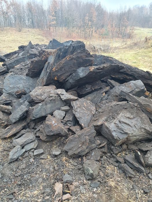 Carbune lignit-sortat manual Berbesti • OLX.ro