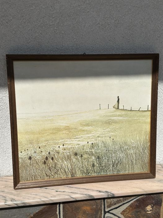 Tablou cu rama de lemn 60x50 Sighetu Marmatiei • OLX.ro