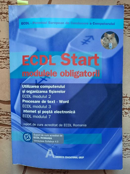Manual ECDL Calcul tabelar - Microsoft Excel, Manual ECDL Baze de date Suceava • OLX.ro