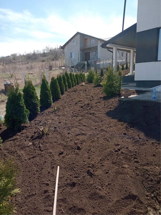 Amenajari Gradini ,curatare , dus gunoi etc Pamant Negru si Mranita ...