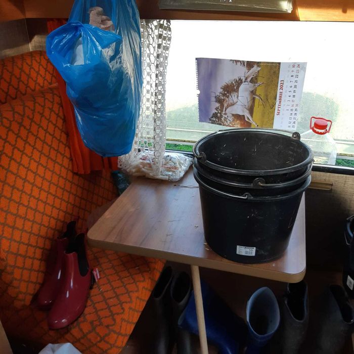 Autorulota 2 persoane Vladimirescu • OLX.ro